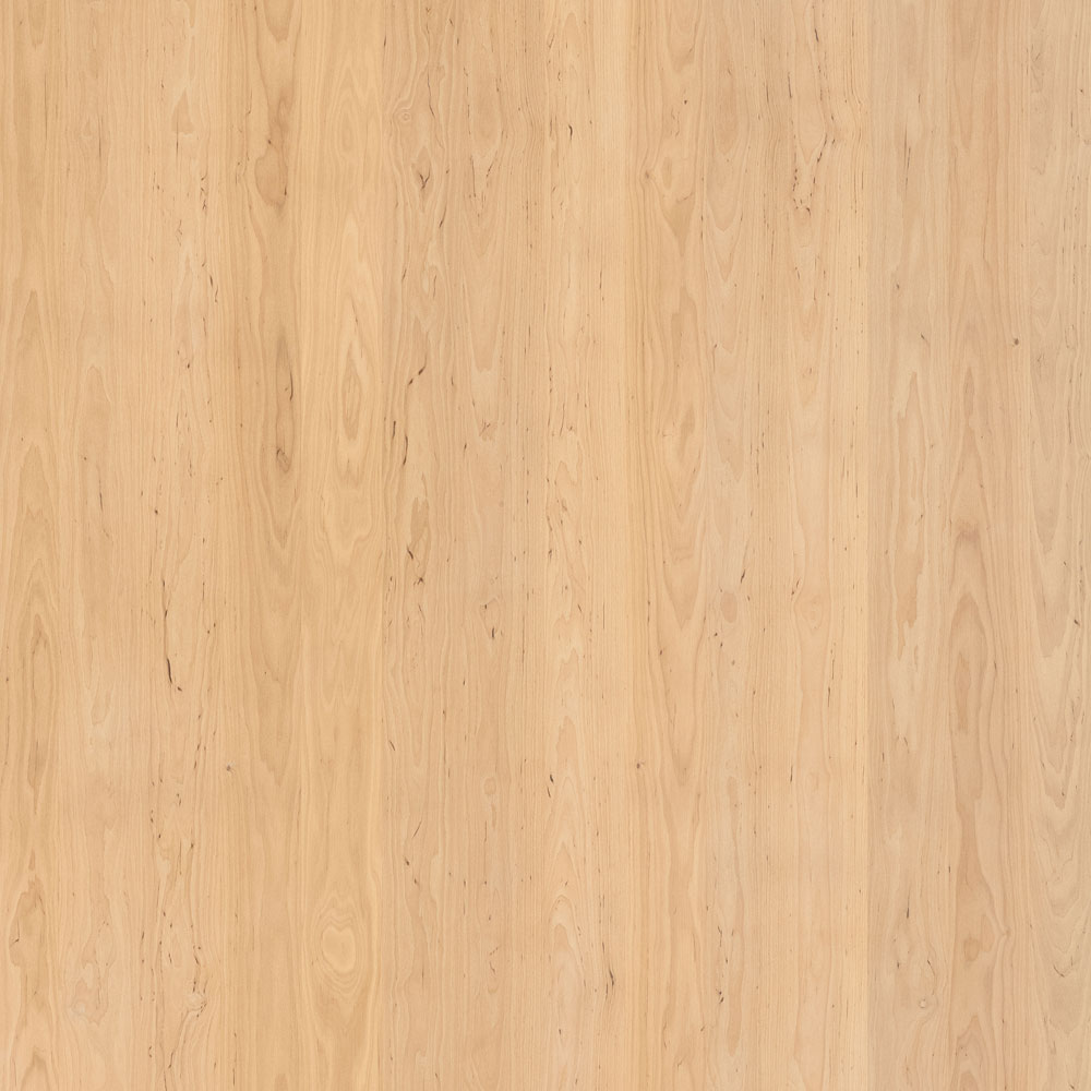 Options Archive - Great Northern Door